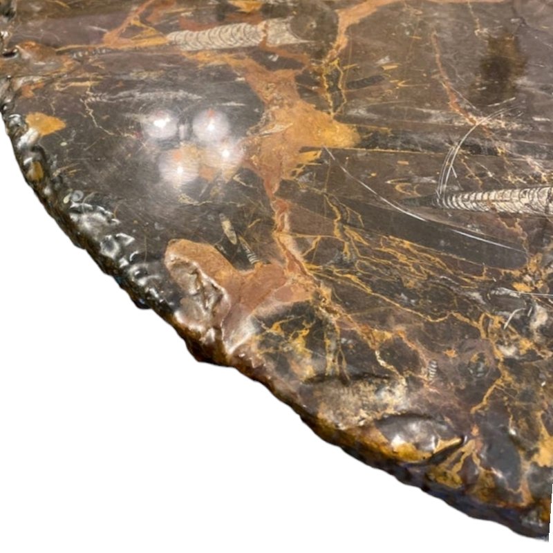 Antique Marble & Fossil Table, Spain, 19th Century for sale at Pamono