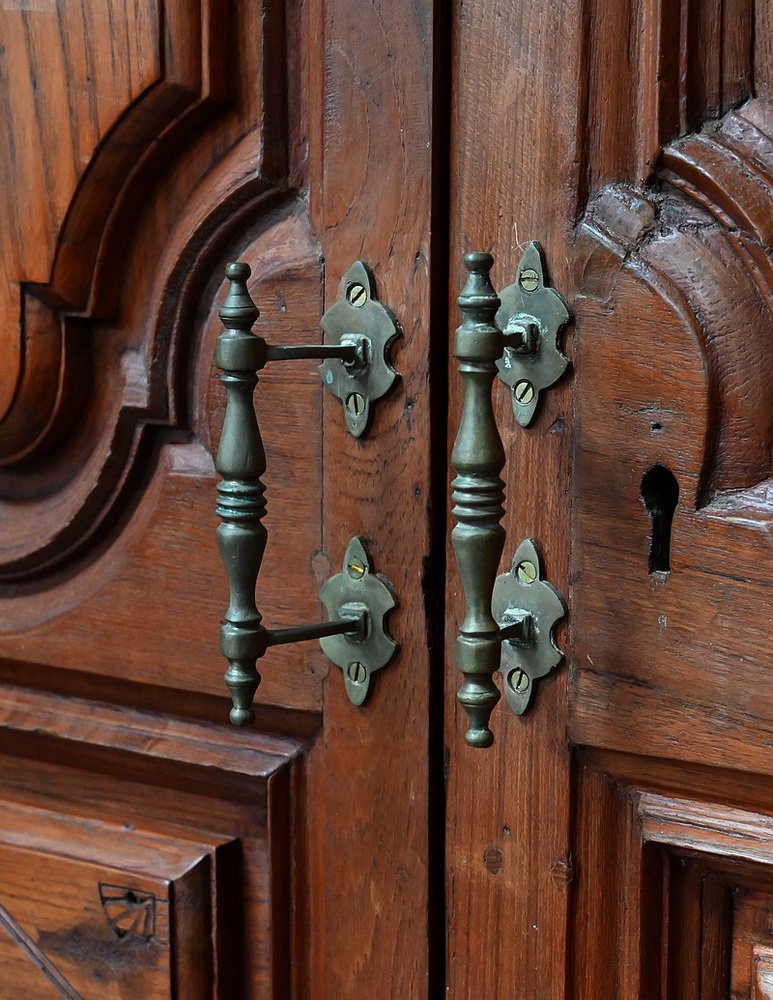 Louis XIV Style Indian Doors in Teak for sale at Pamono