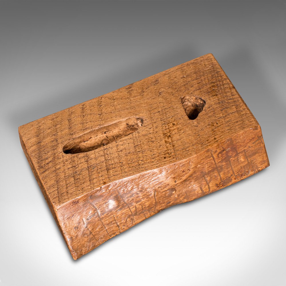 Vintage African Ammonite Opalized Fossil Display, Specimen, 1970s, Set ...