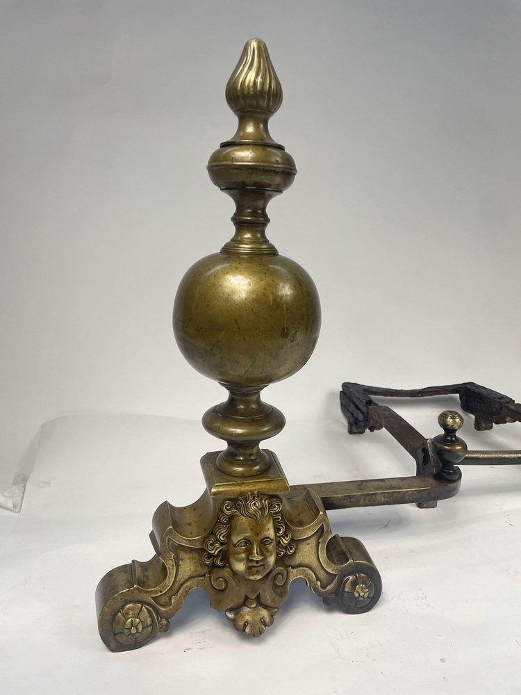 Antique Golden Bronze Wing, 1800s for sale at Pamono