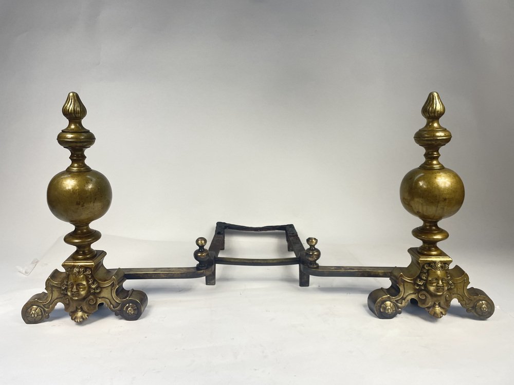 Antique Golden Bronze Wing, 1800s for sale at Pamono