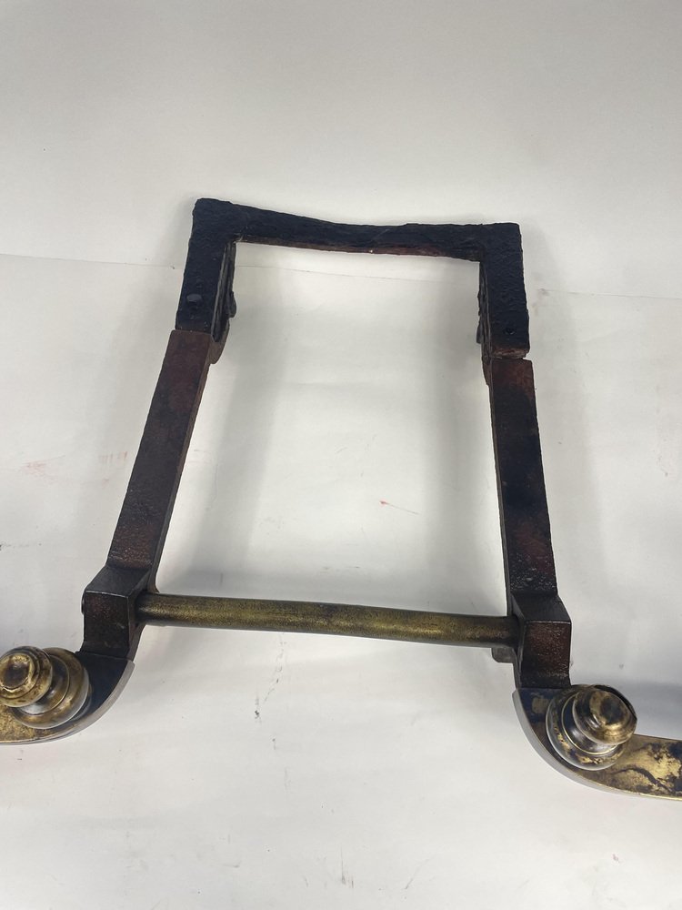 Antique Golden Bronze Wing, 1800s for sale at Pamono