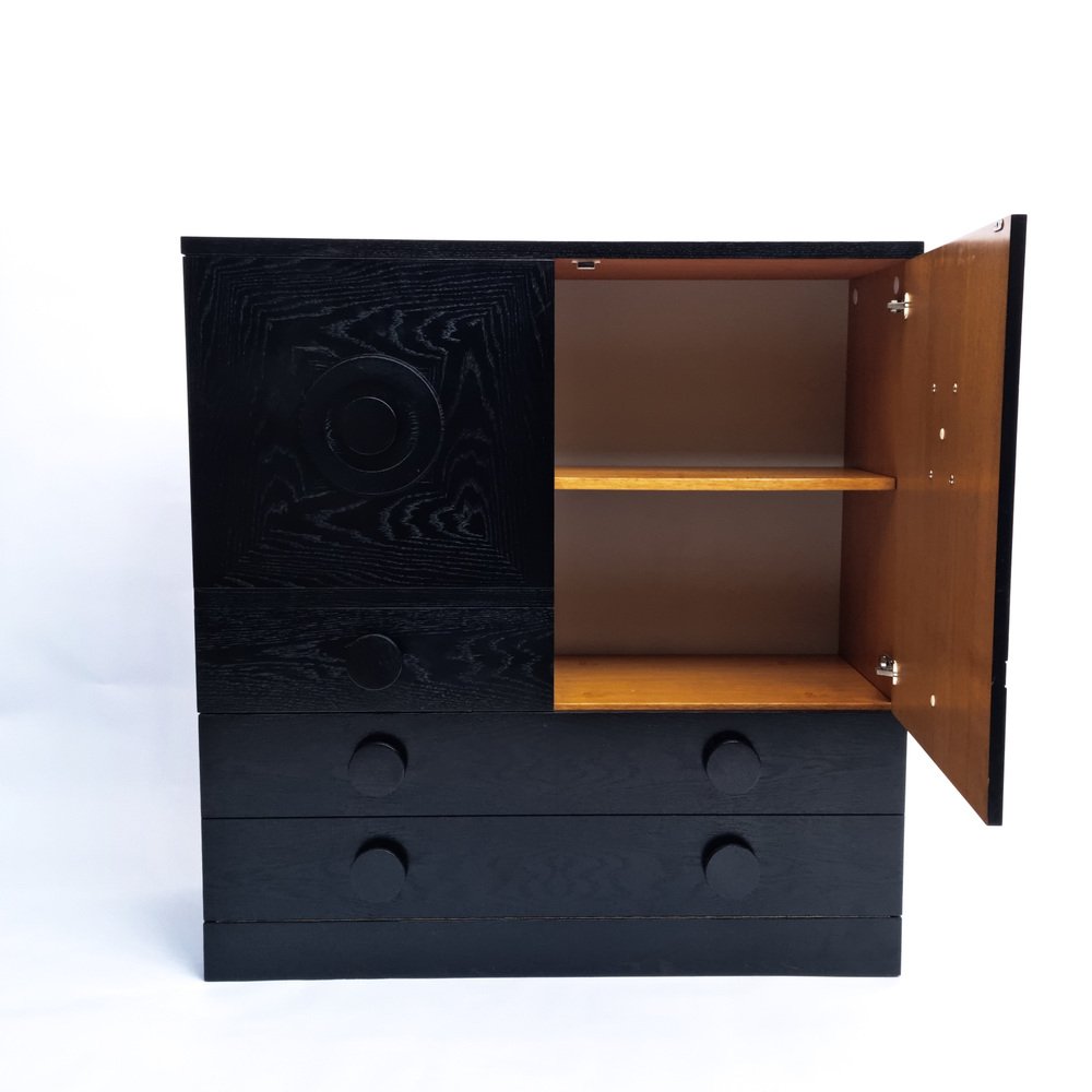 Brutalist Black Cabinet with Three Graphic Patterned Doors, Belgium ...