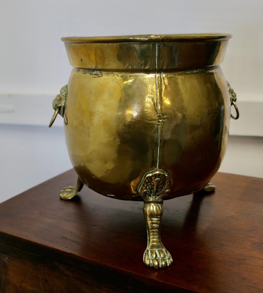 Große viktorianische Jardinière aus Messing mit Löwenmaske & behaarten ...
