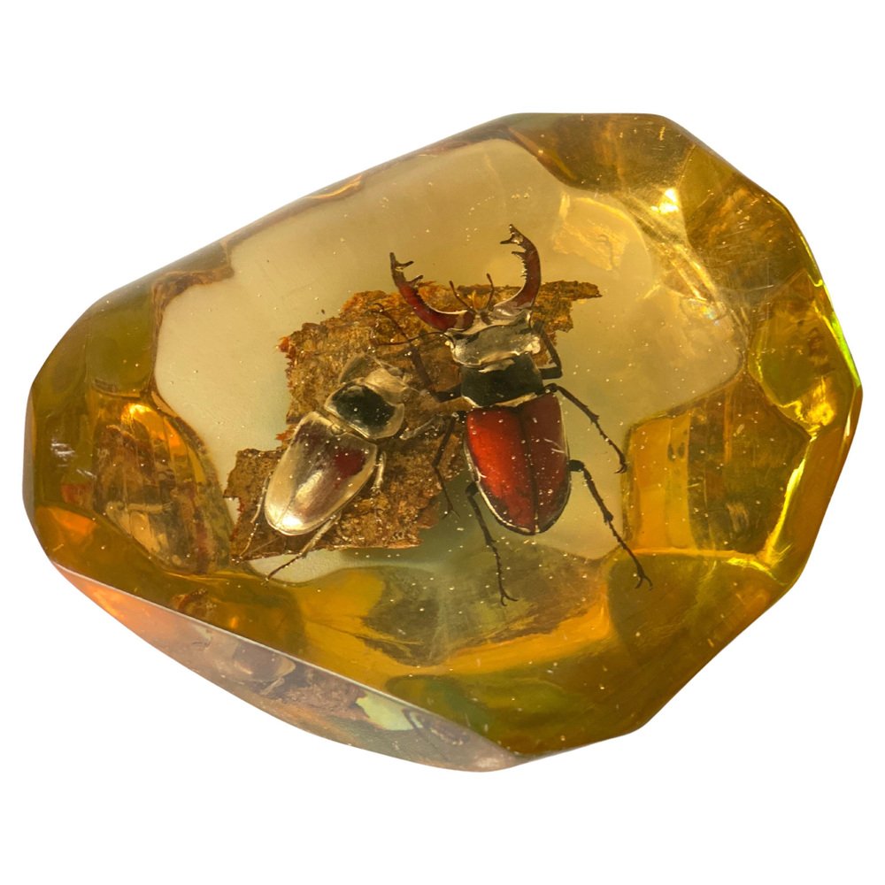 Acrylic Glass Resin Cube Sculpture with Beetles, French, 1970s for sale ...