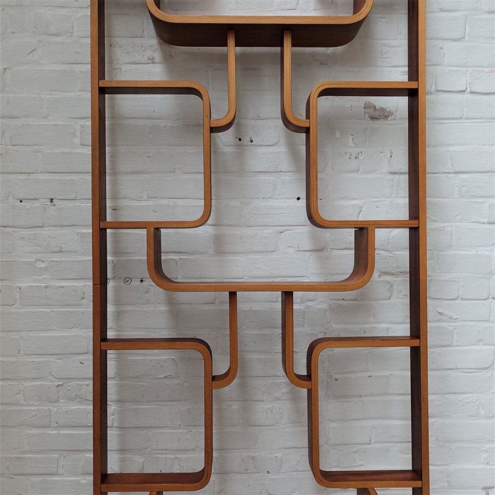 Volak Room Divider by Ludvik Volak for Drevopodnik Holesov, 1960s for ...
