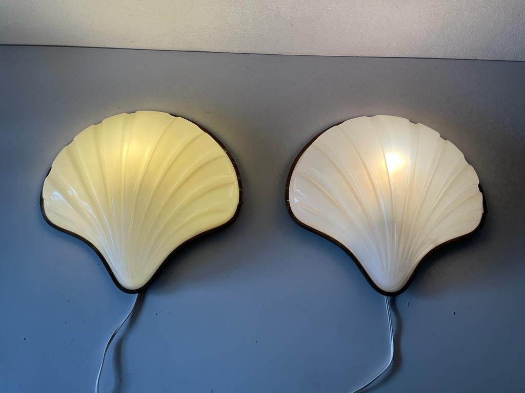Large Italian Shell Shaped Sconces in White Acrylic Glass, 1950s, Set ...