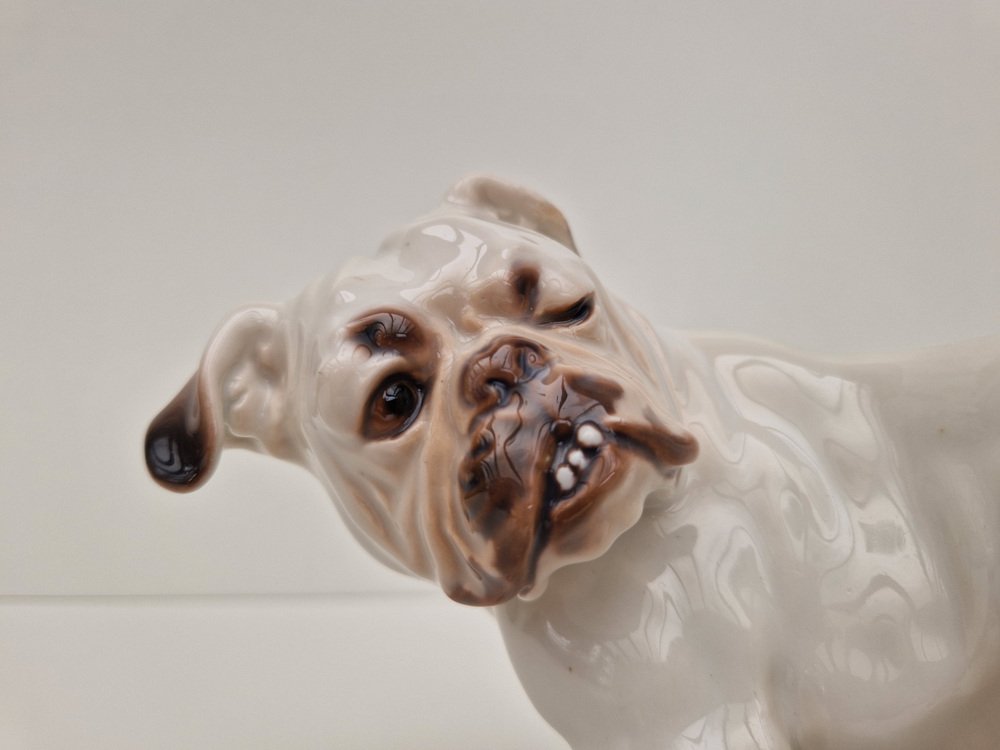 English Bulldog Figurine from Bing & Grondahl, 1960s for sale at Pamono
