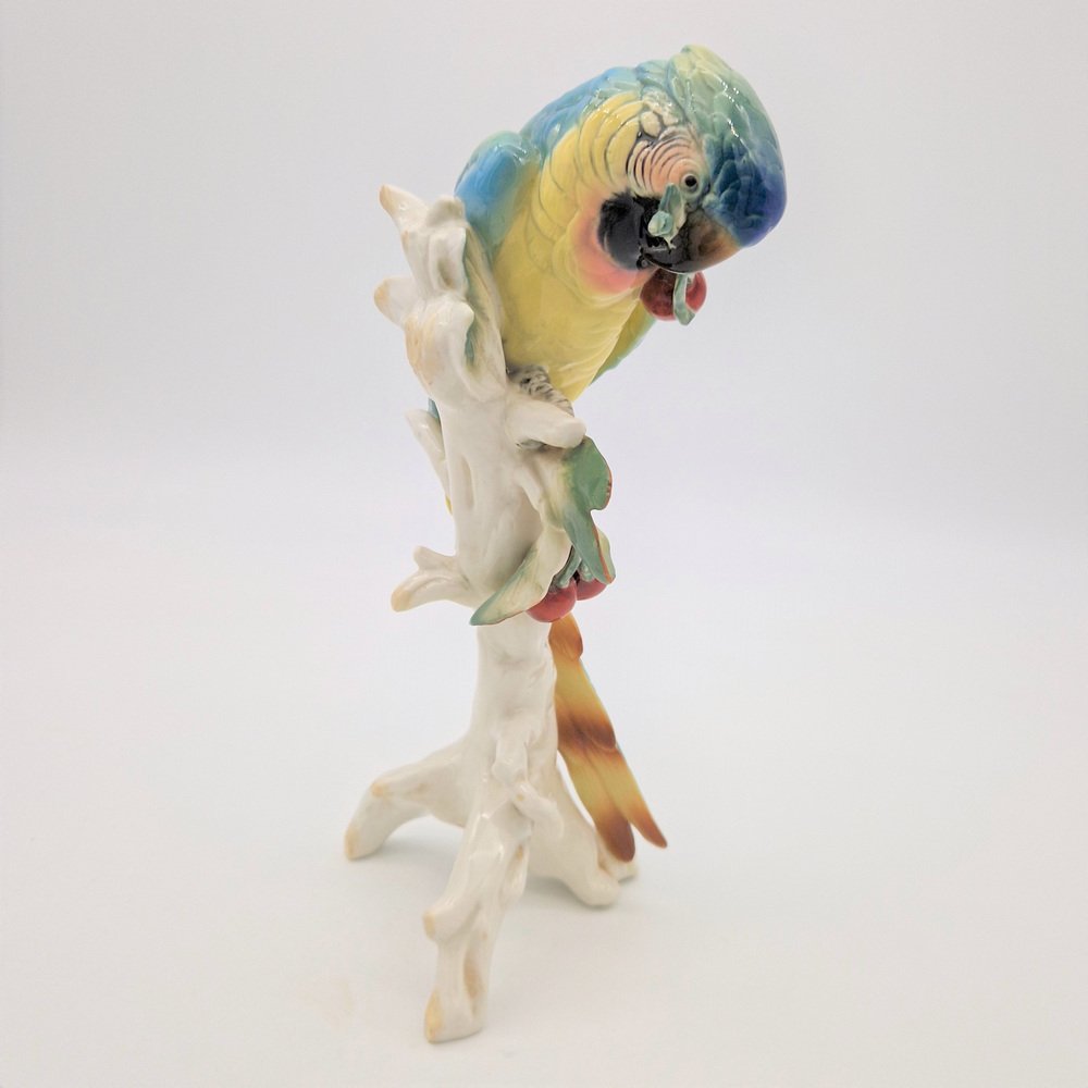 Porcelain Parrot Hand-Painted by Ens, 1930s for sale at Pamono
