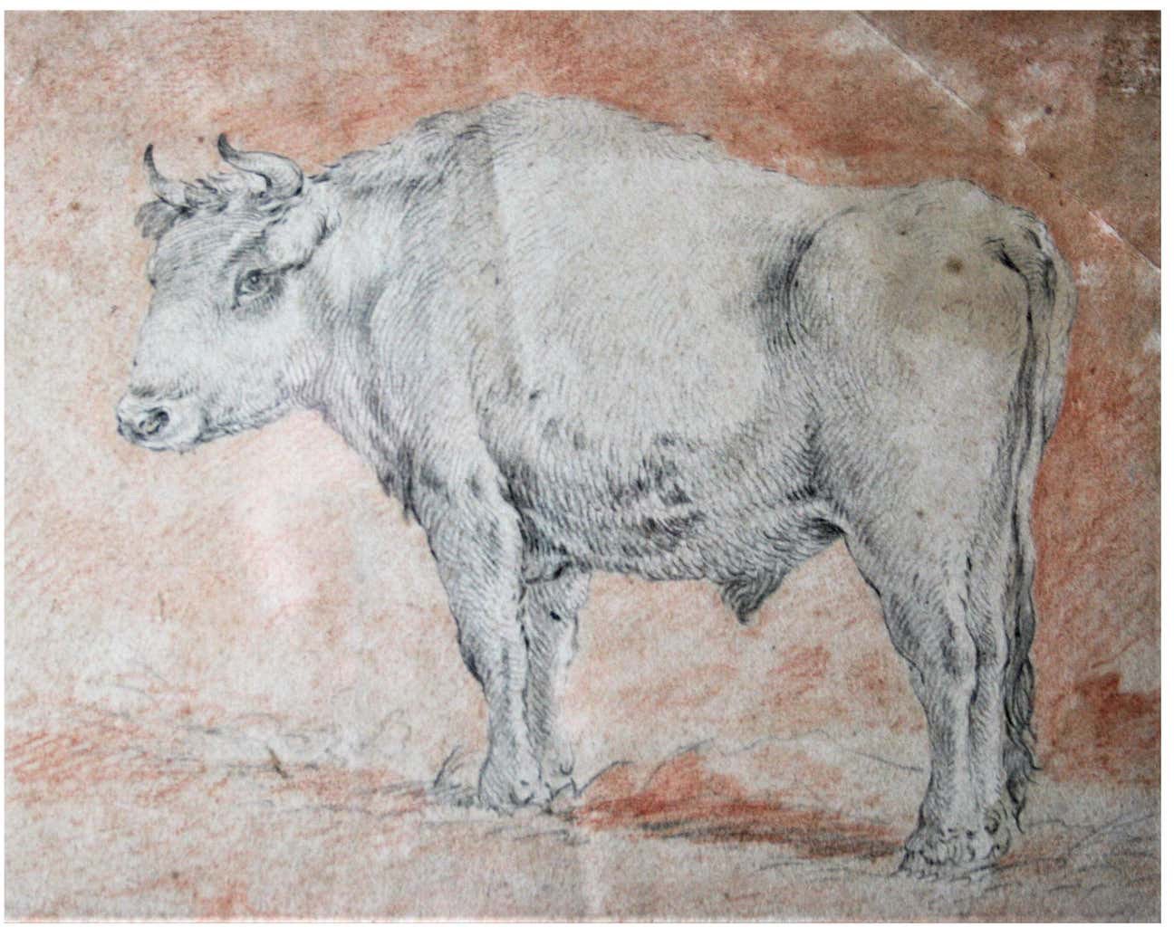 Circle of Paulus Potter, Bull, 1650, Drypoint and Red Chalk for sale at Pamono