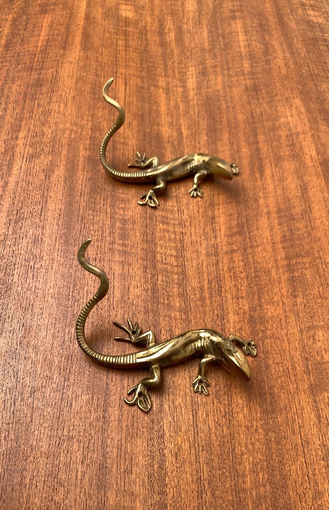 Mid-Century Brass Lizard Wall Coat Hooks, 1950s, Set of 2 for sale at Pamono