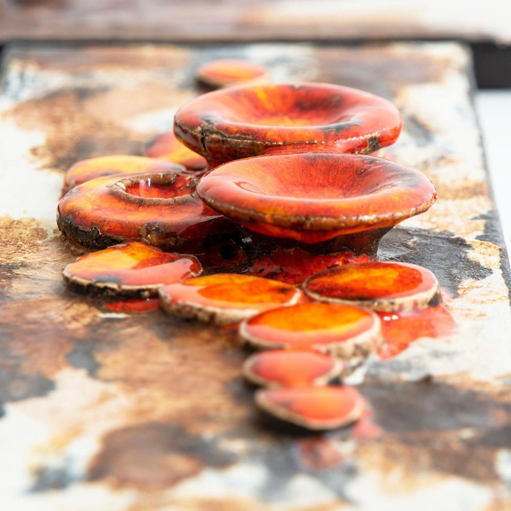 Fat Lava Wall Plaques from Ruscha Keramik, 1970s, Set of 3 for sale at ...