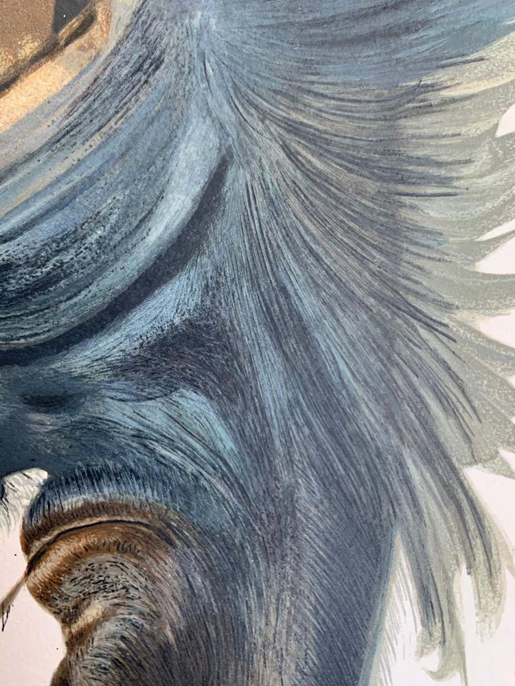 Salvador Dali, Inferno Canto 20, 1970, Gravur bei Pamono kaufen