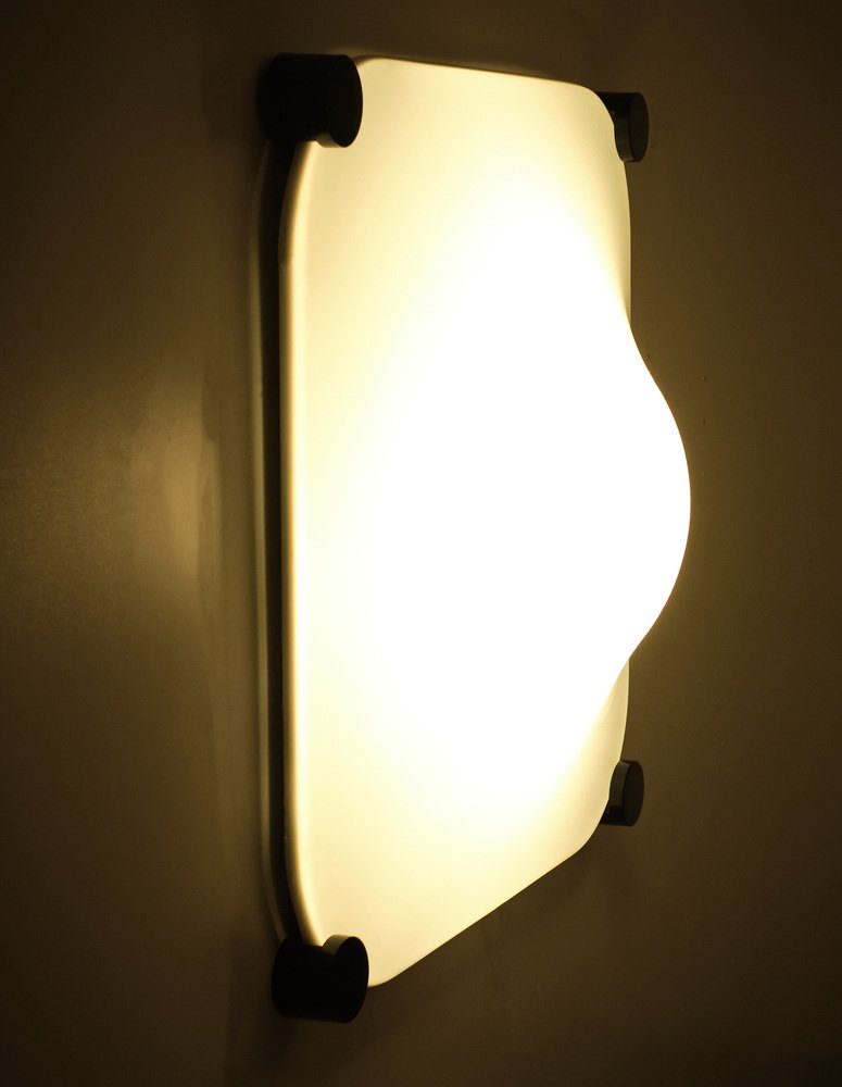 Large Italian Bolla Ceiling Light by Elio Martinelli for Martinelli ...