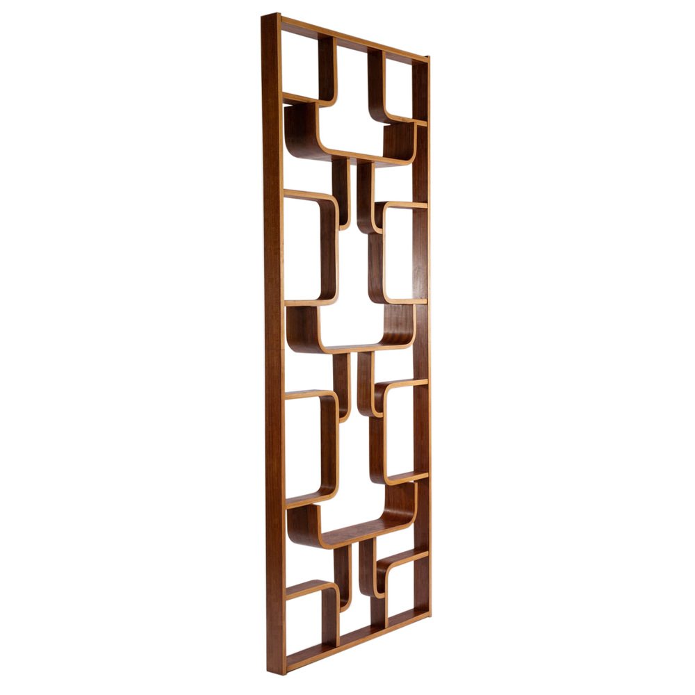 Room Divider by Ludvik Volak fpr Drevopodnik Holesov, 1960s for sale at ...