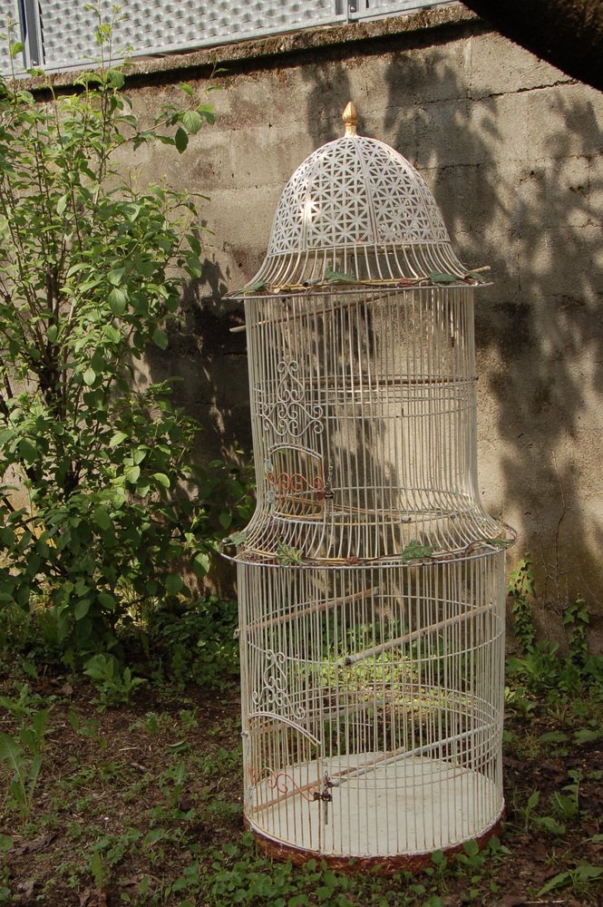 Large French Art Deco Iron Cage for sale at Pamono