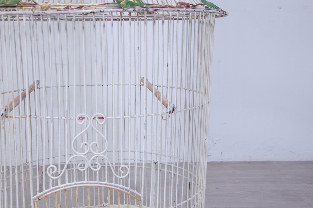 Large French Art Deco Iron Cage for sale at Pamono