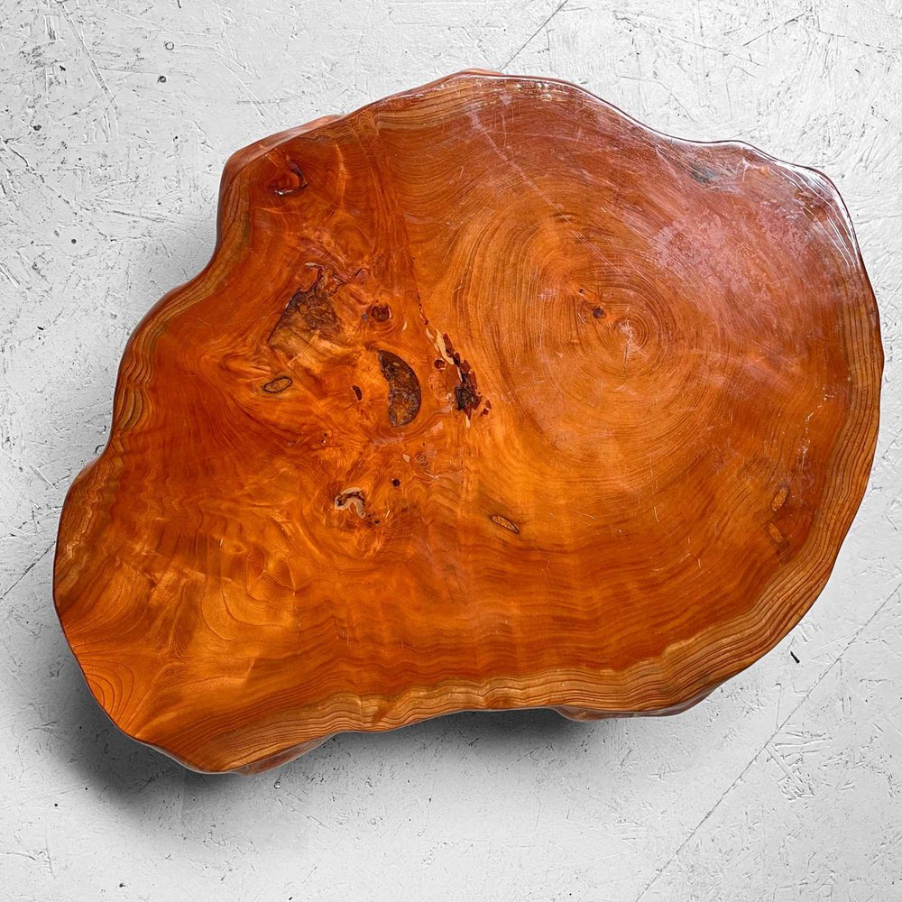 Low Wabi-Sabi Tree Trunk Table, Japan, 1890s for sale at Pamono