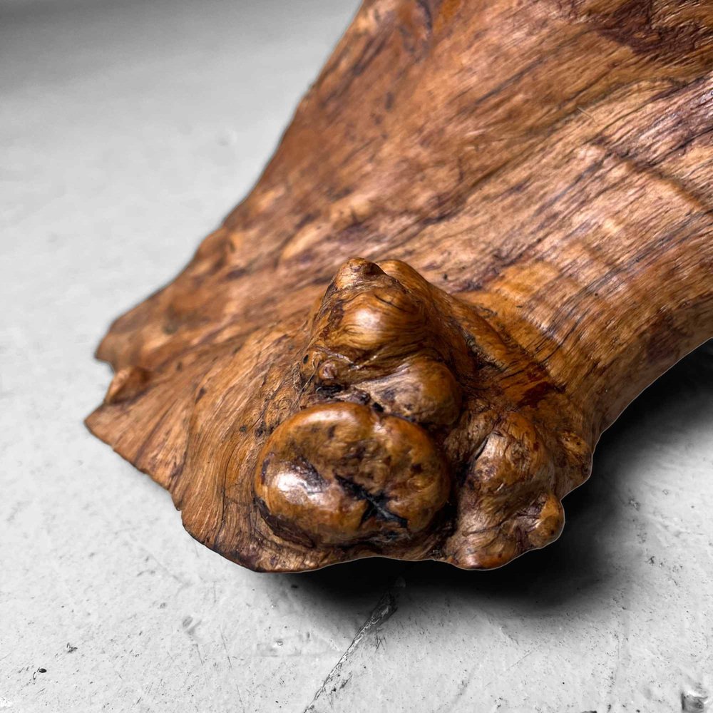 Wood Burl Wood, Japan, 1950s for sale at Pamono