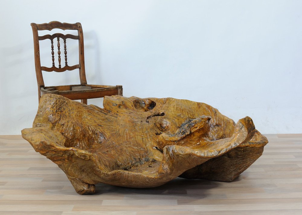 Plant Root Sculpture for sale at Pamono