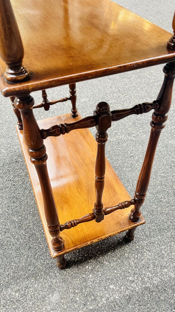 Late 19th Century Etagere Bookcase in Italian Walnut for sale at Pamono