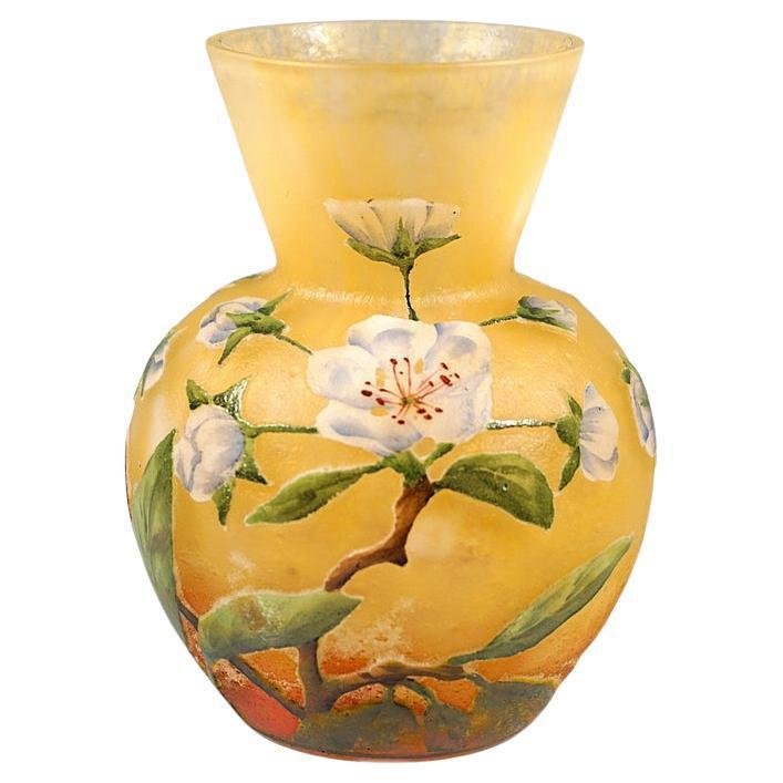 Vase Camée Art Nouveau avec Fleurs de Pommier de Daum Nancy, France ...