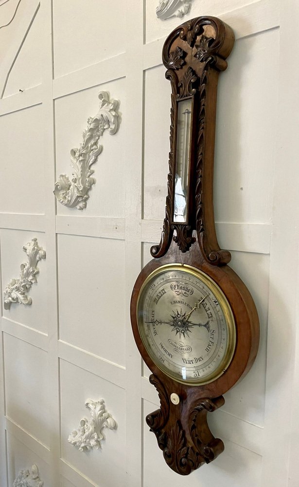 Antikes viktorianisches Banjo Barometer aus Wurzelholz, 1860 bei Pamono ...