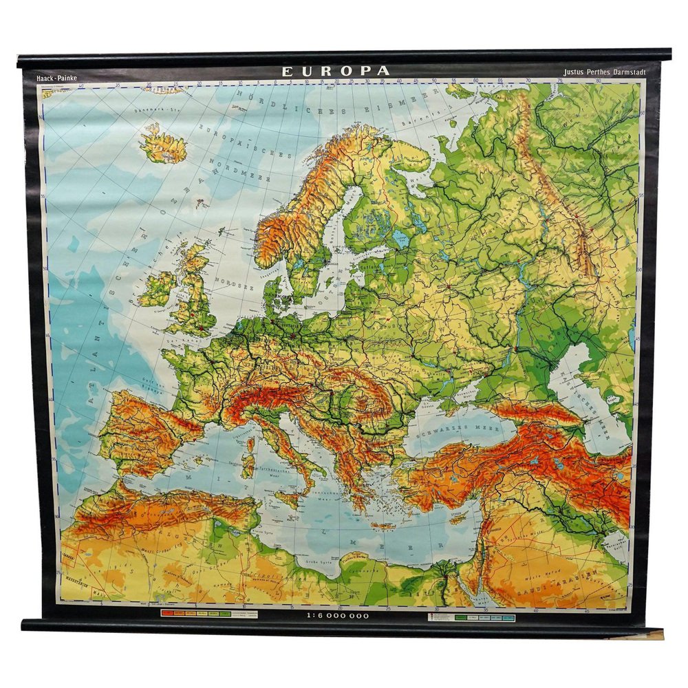 European Wall Chart, 1970s for sale at Pamono