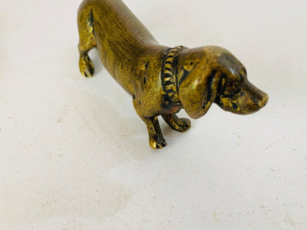 Antique Vienna Turtle and Dog Figurine in Bronze, 1890s, Set of 2 for ...