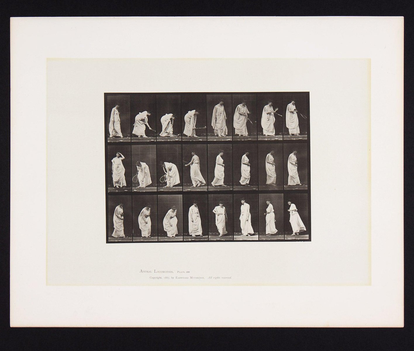 Eadweard Muybridge, Animal Locomotion: Plate 299, 1887, Collotype for ...