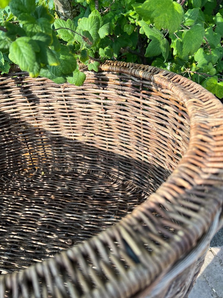 French Rustic Oval Willow Wicker Basket, 1960s for sale at Pamono