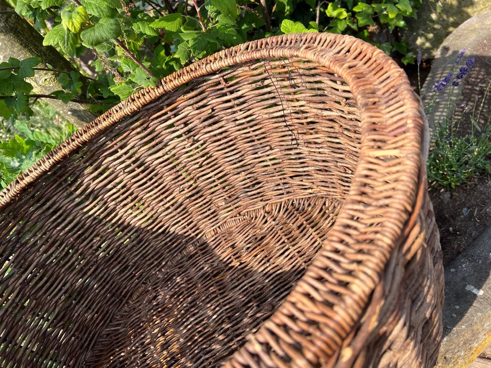French Rustic Oval Willow Wicker Basket, 1960s for sale at Pamono