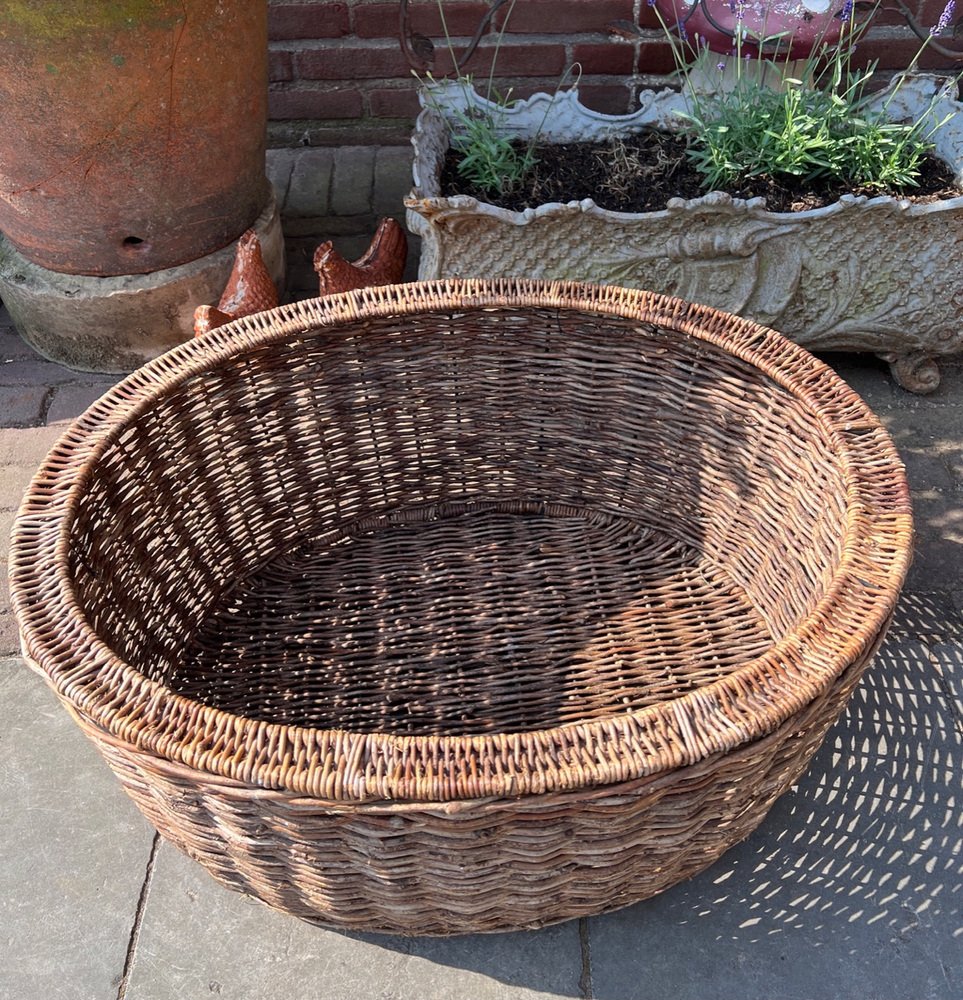 French Rustic Oval Willow Wicker Basket, 1960s for sale at Pamono