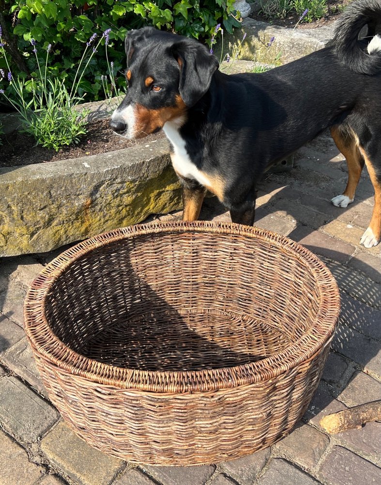 French Rustic Oval Willow Wicker Basket, 1960s for sale at Pamono
