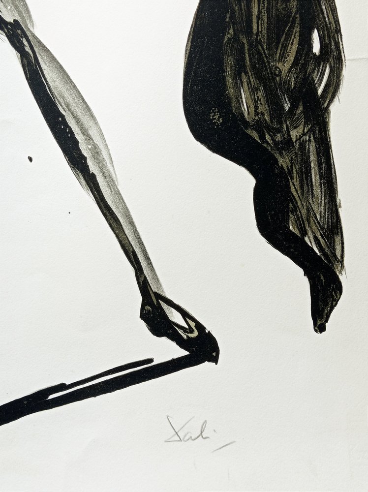 Salvador Dali, Matador and Bull, 1969, Lithograph for sale at Pamono