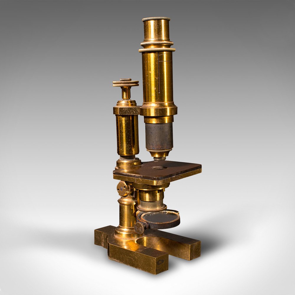 English Monocular Microscope in Brass, 1900s for sale at Pamono
