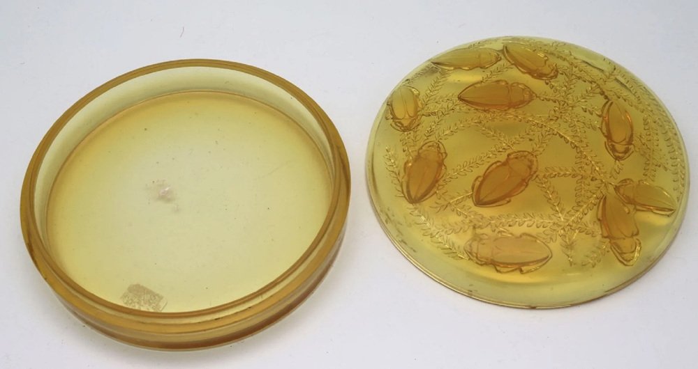 Cleones Round Box in Yellow Tinted Box by René Lalique, 1921 for sale ...