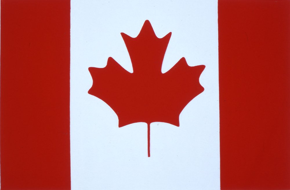 Marco Neri, Canada, 2004, Tempera on Canvas for sale at Pamono