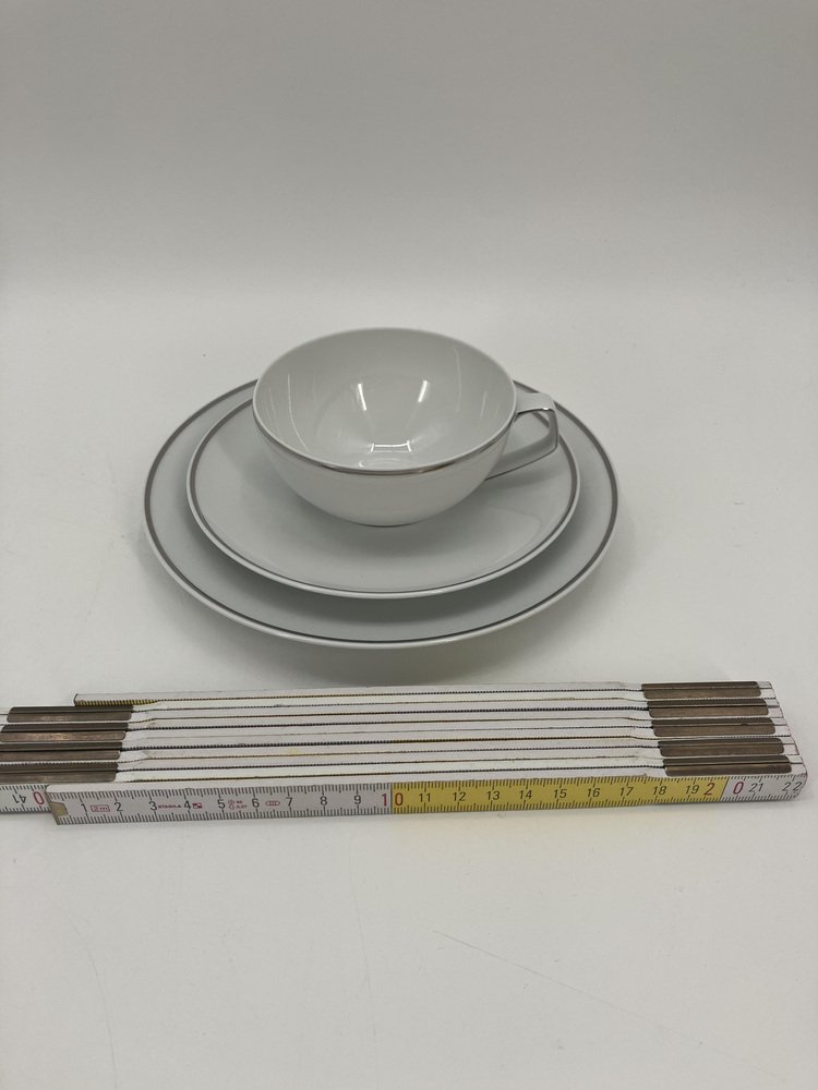 Tac Tea Service in Platinum by Walter Gropius for Rosenthal, Set of 25 ...