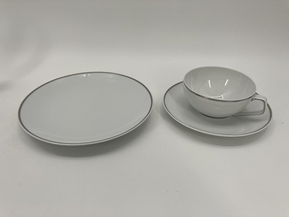 Tac Tea Service in Platinum by Walter Gropius for Rosenthal, Set of 25 ...