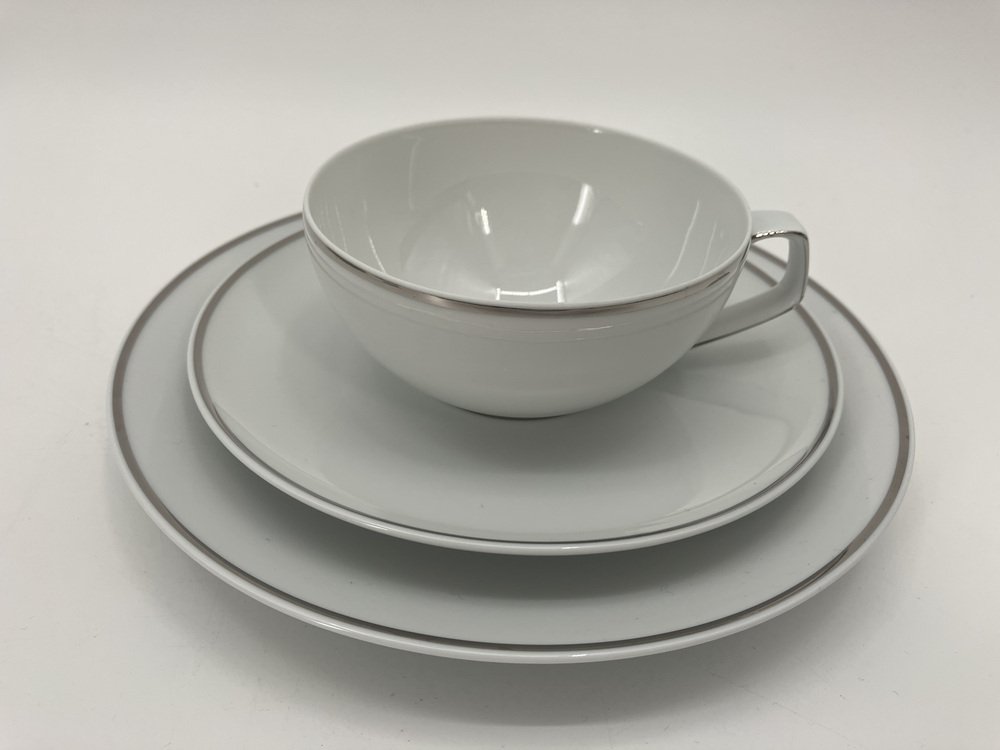 Tac Tea Service in Platinum by Walter Gropius for Rosenthal, Set of 25 ...