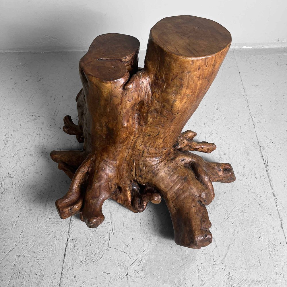 Meiji Period Decorative Japanese Root Wood Plant Stand for sale at Pamono