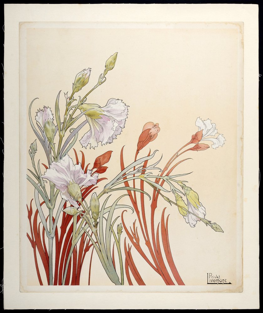 Henri Privat Livemont, Fleurs Décoratives: Oeillets, 1902, Lithographie ...