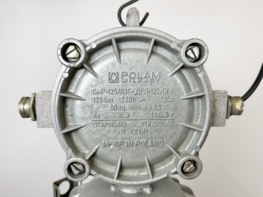 Large Industrial Cast Aluminium Cage Pendant Light from Polam Wilkasy ...