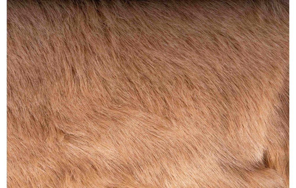 Rectangular Rug in Chinese Goatskin for sale at Pamono