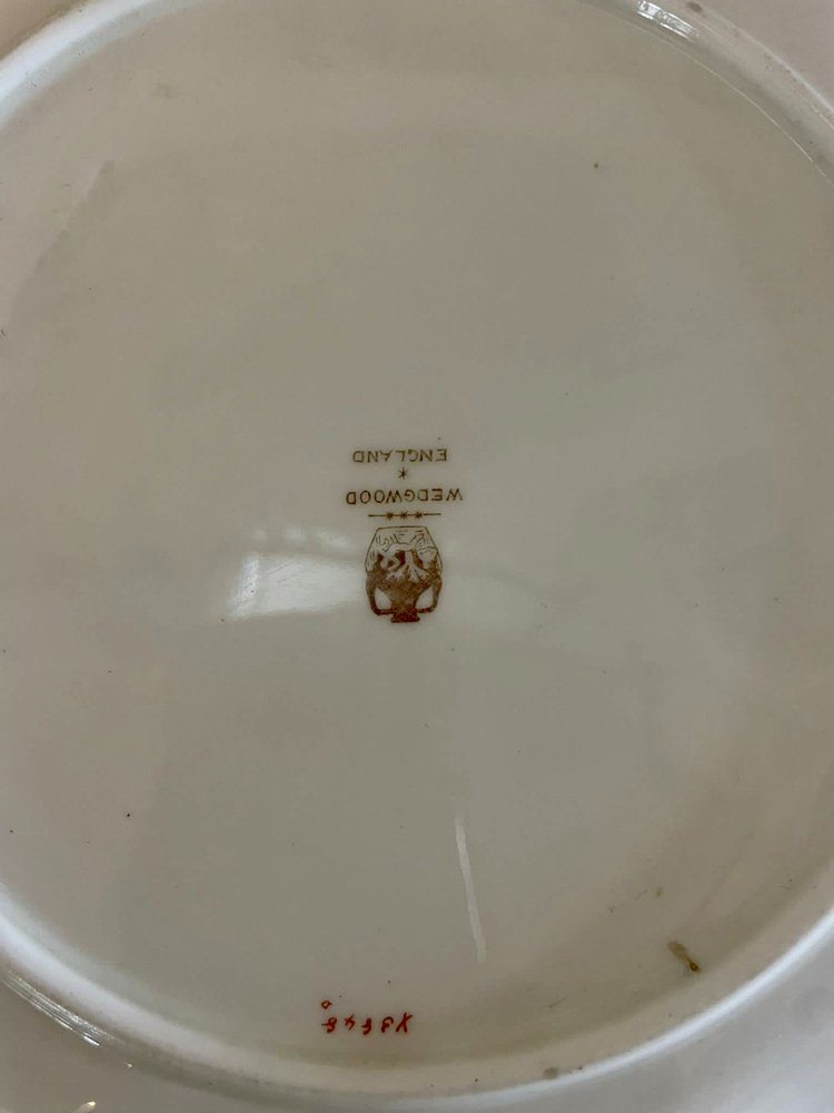 Edwardian Hand Painted Wedgwood Shaped Plates, 1900s, Set of 2 for sale ...