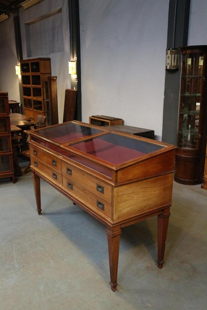 Antique Display Cabinet, 1890s for sale at Pamono