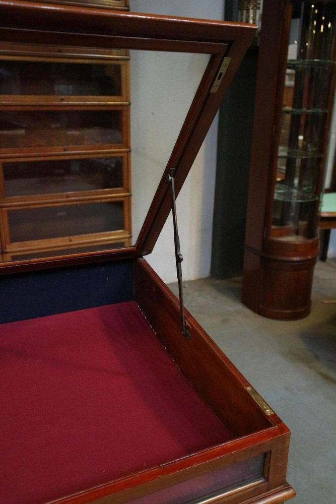 Antique Display Cabinet, 1890s for sale at Pamono