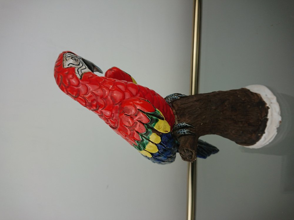 Ceramic Macaw Parrot by Mailard, 1960s for sale at Pamono