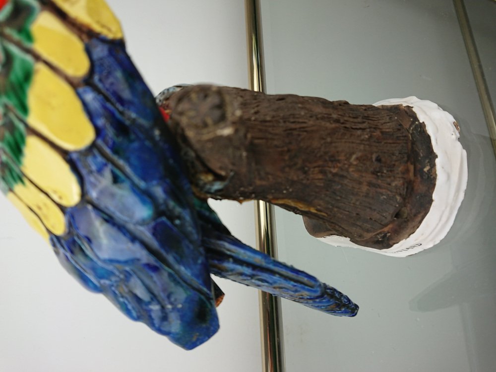 Ceramic Macaw Parrot by Mailard, 1960s for sale at Pamono